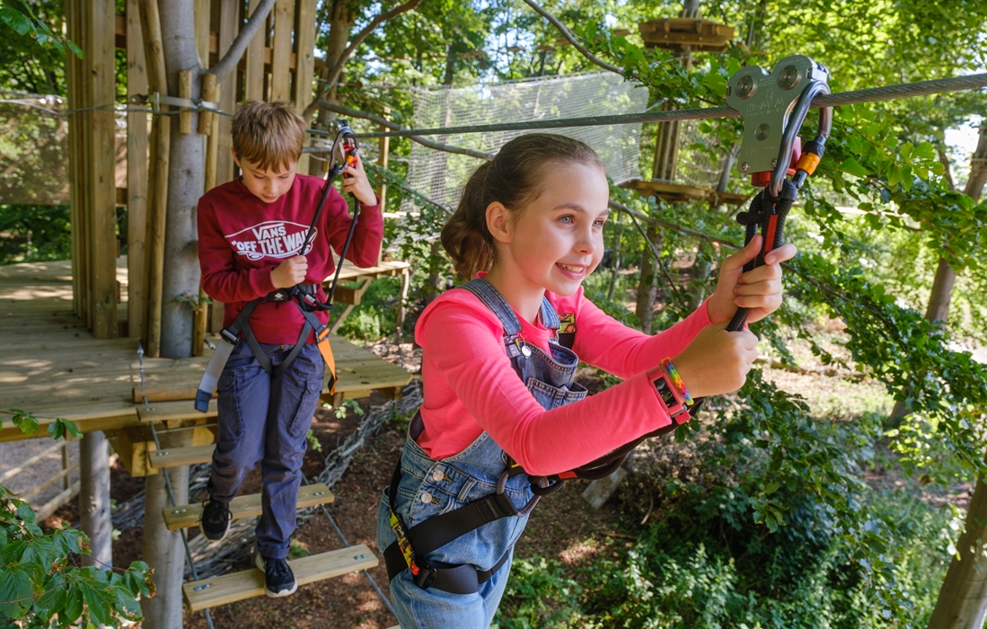 Go Ape Dalkeith, Dalkeith – Other Activities | VisitScotland