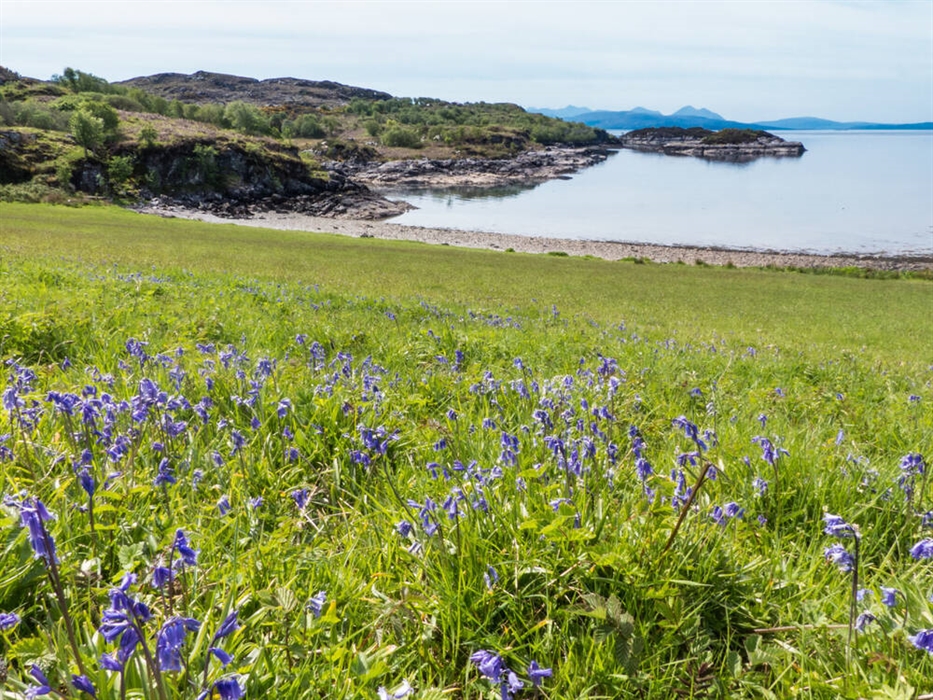 Balmacara Estate & Woodland Walks, Kyle – Country Estates | VisitScotland