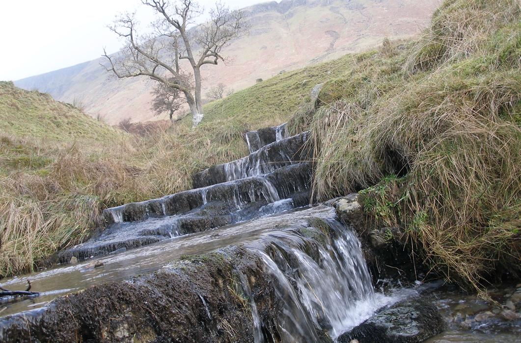 Milton Of Campsie Visitor Guide - Accommodation, Things To Do & More ...