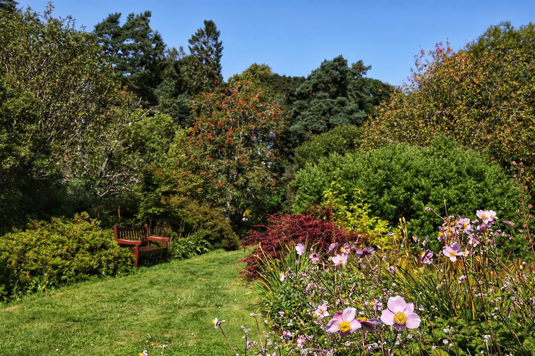 St Andrews Botanic Garden, St Andrews – Parks | VisitScotland