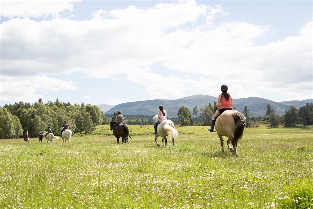 Rothiemurchus Highland Pony Trekking, Hacking and Rides | VisitScotland