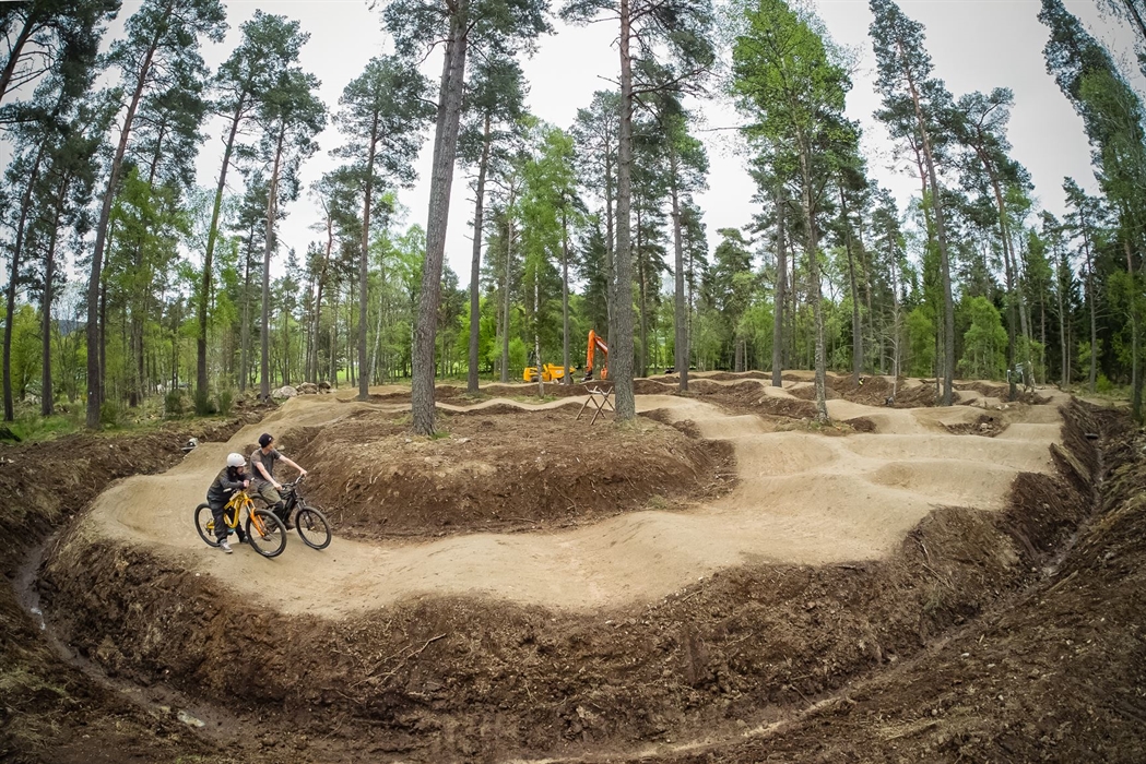 Tarland Trails, Drummy Woods, Tarland – Mountain biking | VisitScotland