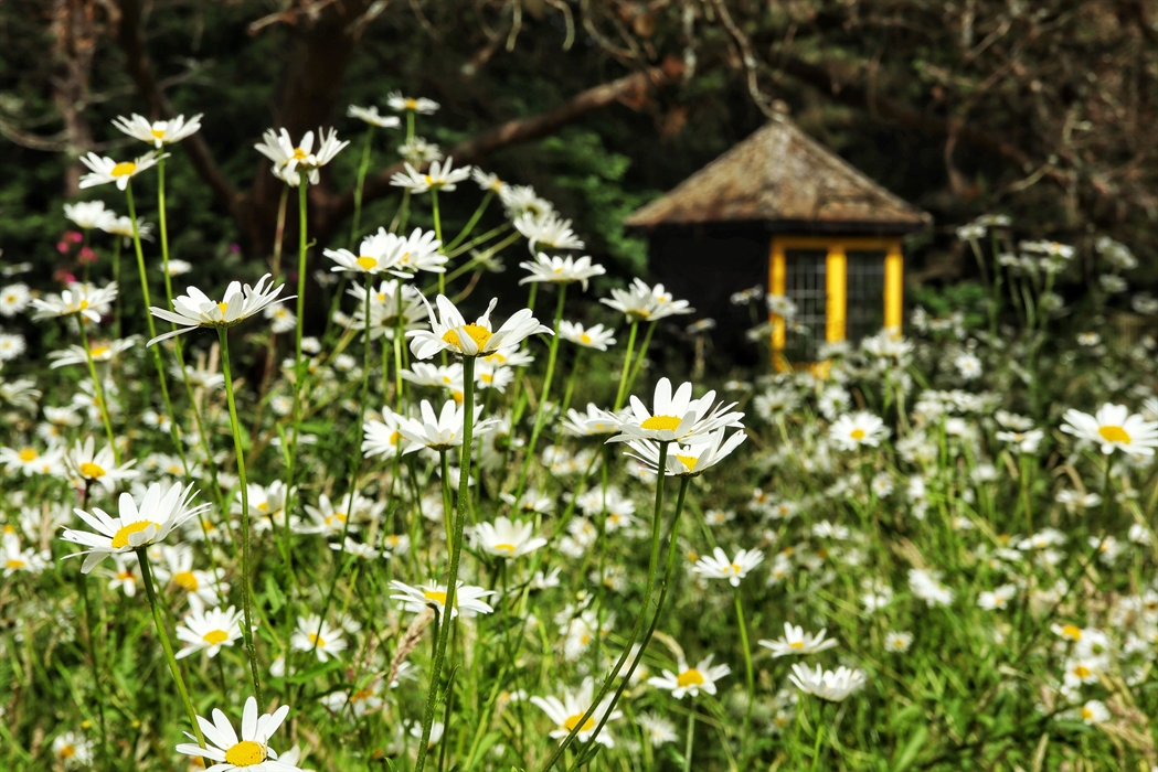 St Andrews Botanic Garden, St Andrews – Parks | VisitScotland