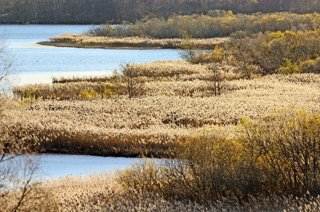 Muir of Dinnet National Nature Reserve, By Ballater – Nature Centres ...
