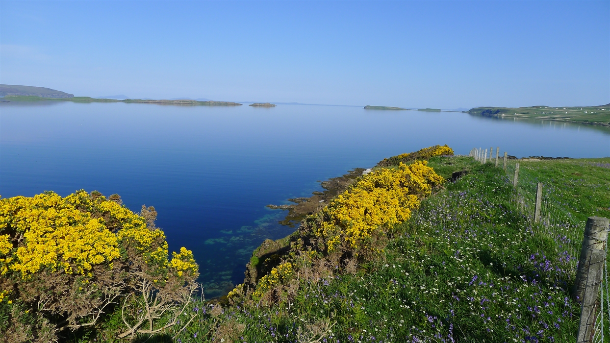 Waternish Farm, Waternish – Nature Centres & Reserves | VisitScotland